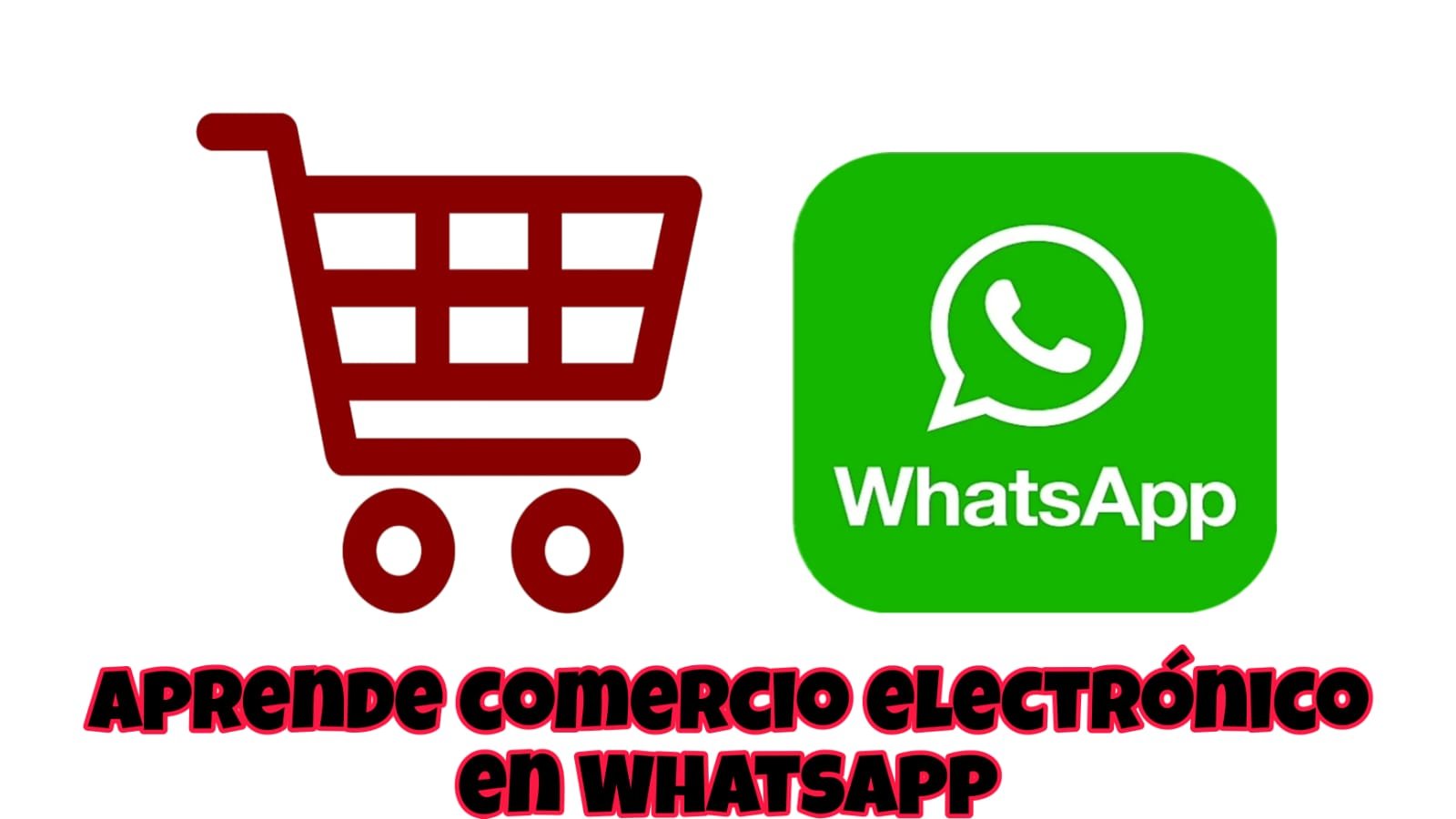 lmoufid.com - Hola y bienvenido, soy Mohamed el Faouari, propietario de ...